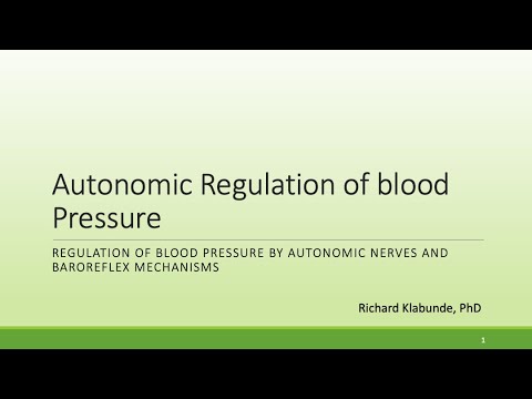 Autonomic Control of Blood Pressure - YouTube