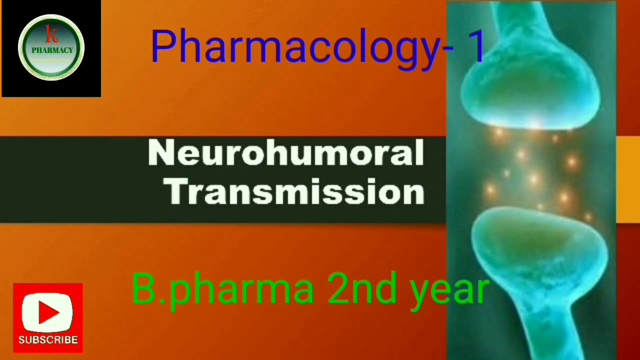 Neurohumoral transmission & steps involved in autonomic nervous system ...