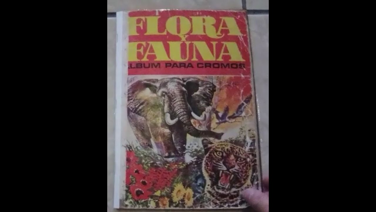 Album Flora y fauna - 1976 - YouTube