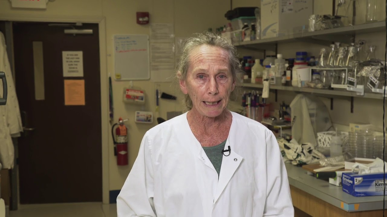 8 Prevent the spread of RLWD - YouTube