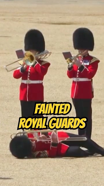 Fainted Royal Guards 💂 | #shorts #royalguards #faintedguards #british # ...