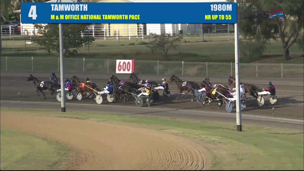 TAMWORTH - 28/05/2020 - Race 4 - M & M OFFICE NATIONAL TAMWORTH PACE ...