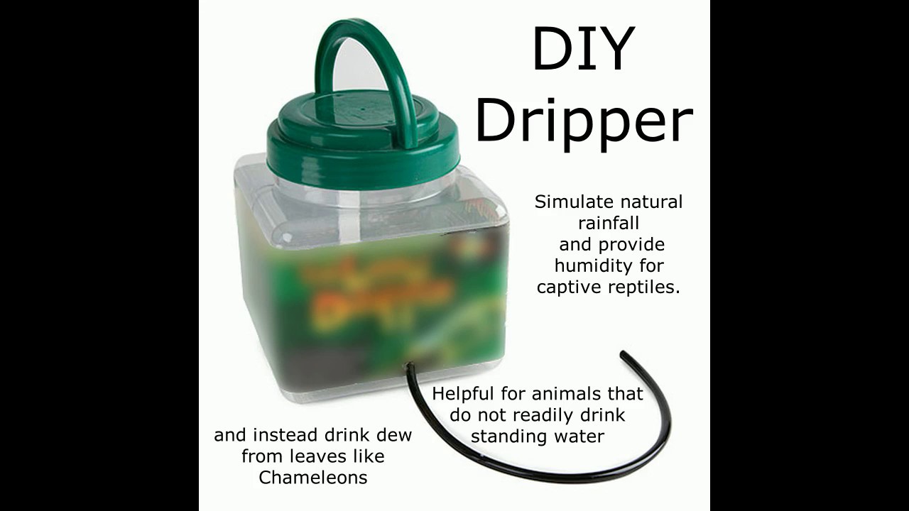 Diy Dripper For Chameleon at Waldo Alline blog
