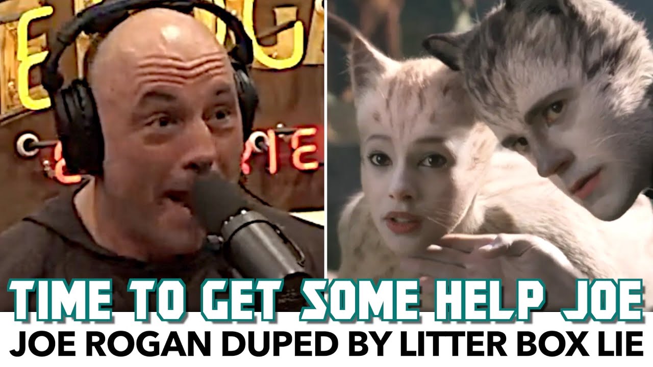 Joe Rogan Falls For The 'Litter Box' Lie - YouTube