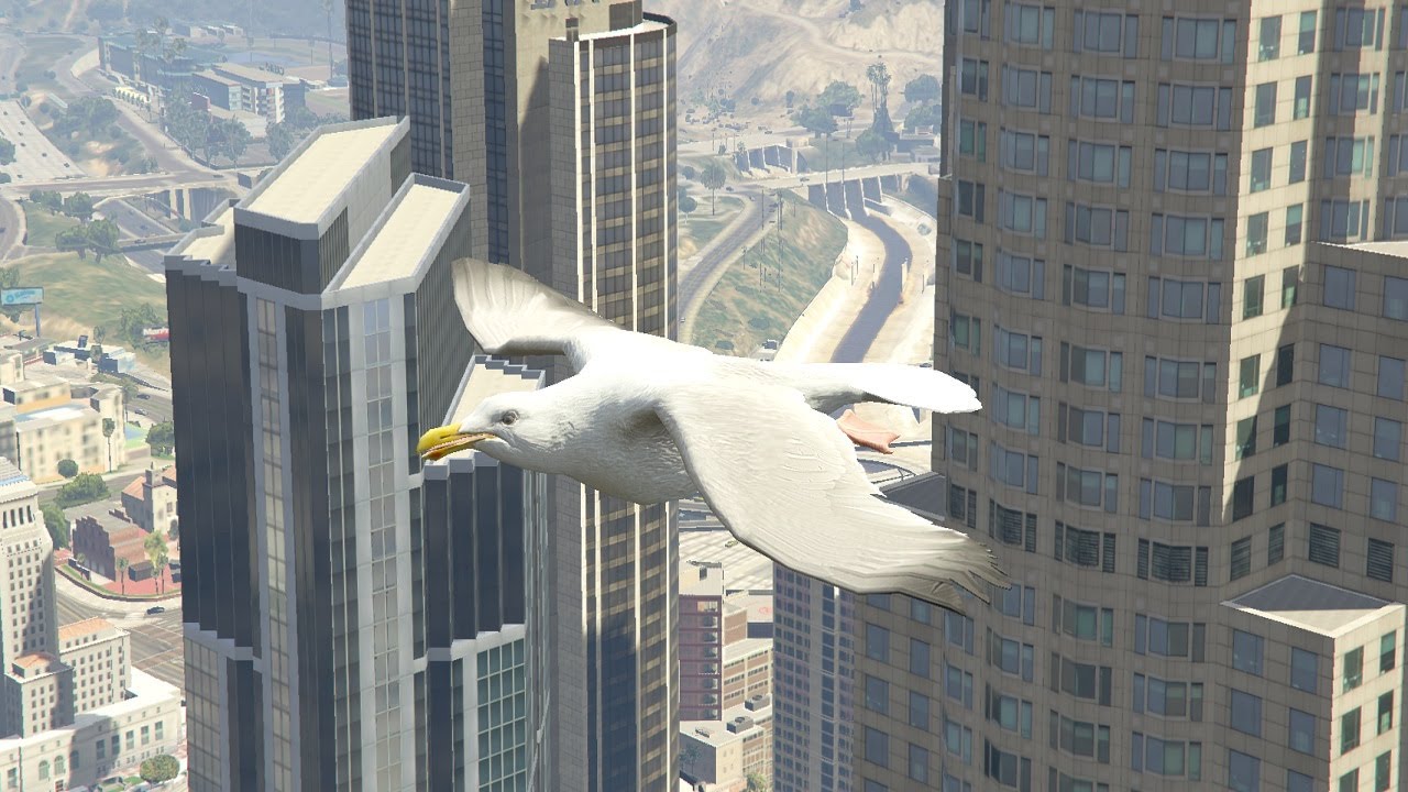 Bird Fly in GTA V | Seagull Bird | City View from Seagull Eyes | GTA V ...