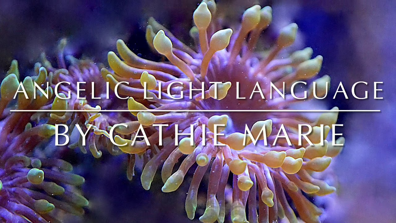 Angelic Light Language ~ scriptures 234 & 235, channeled from Master ...