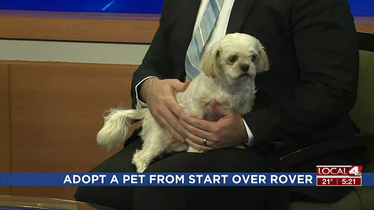 Meet Quinn from Start Over Rover! - YouTube