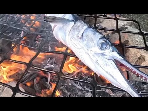 Mastering the Art of Grilling Giant Needle Fish - BBQ Tips & Full ...