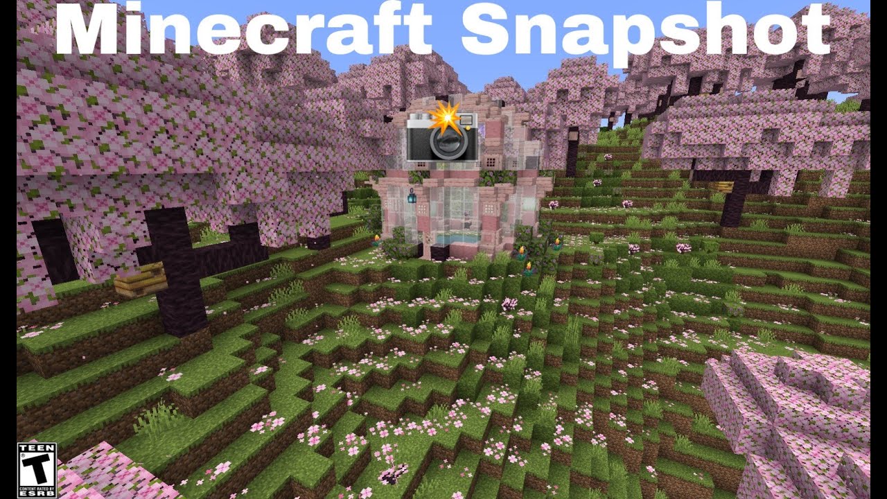 PINK WOOD!?!?||Minecraft Snapshots - YouTube