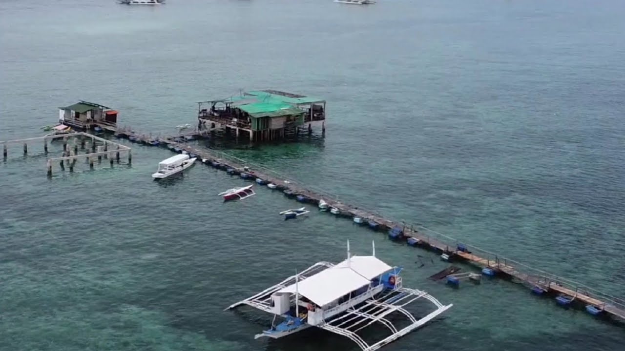 olango island marine sanctuary - YouTube