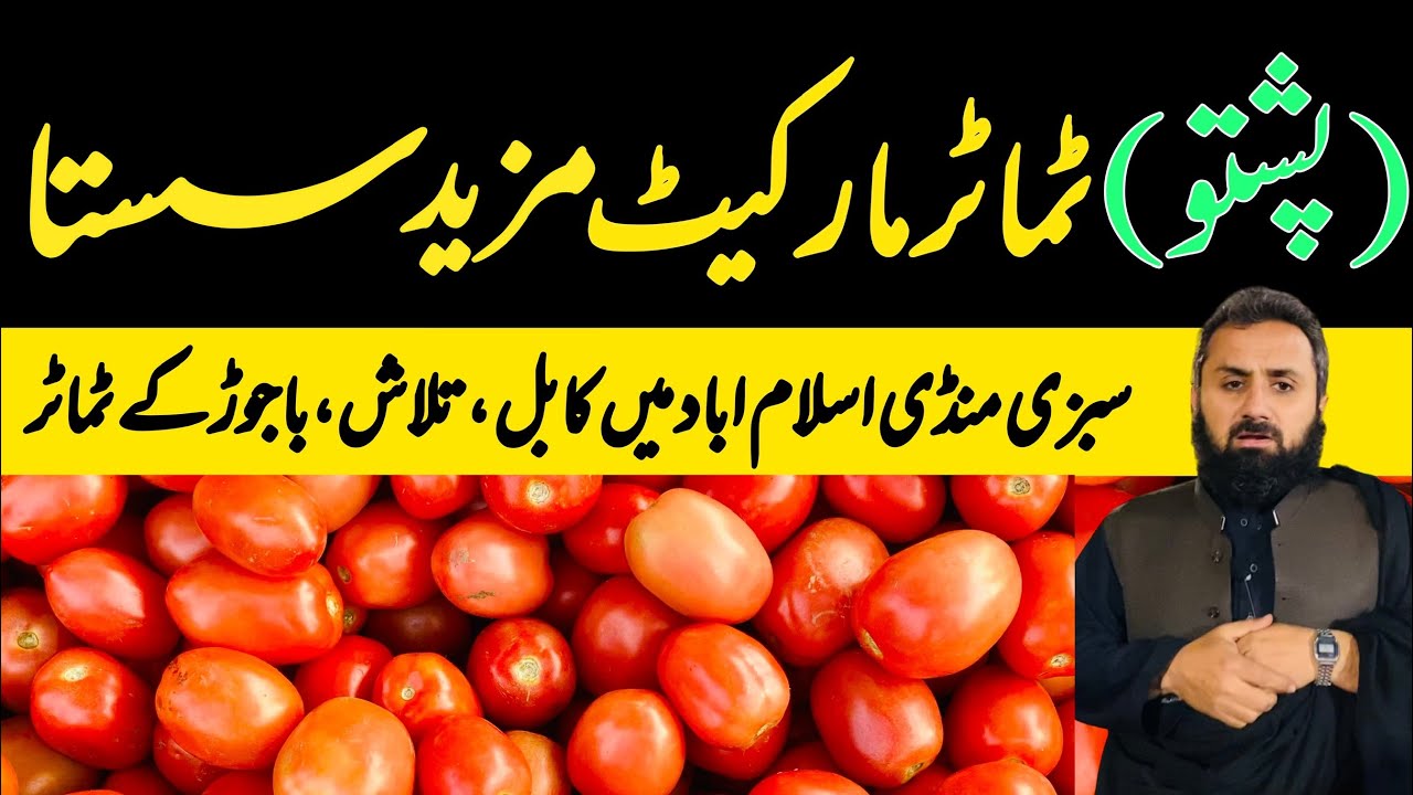 Pashto Update | Afghanistan and Pakistan Tomatoes Auction | 18 /09/2024 | Sabzi Mandi Islamabad ...