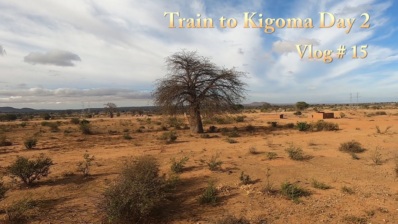 Now or Never: Epic Train Adventure Across Tanzania | Dar Es Salaam to ...