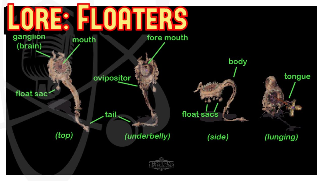 Fallout Lore - Floaters (Fallout, 2, 76) - YouTube