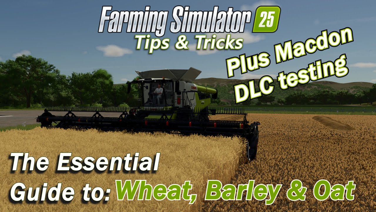 The Essential Guide to Wheat, Barley and Oats in Farming Simulator 25 ...