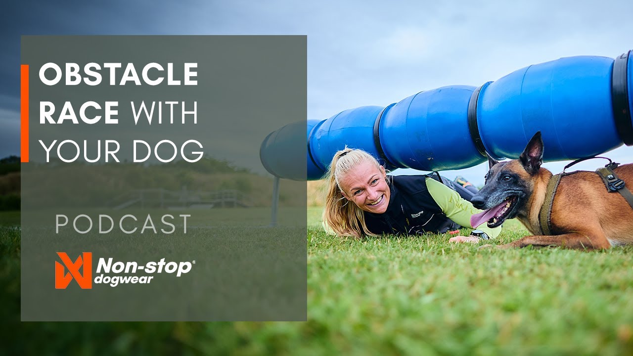 UNLEASHED podcast - Obstacle racing with K9 Biathlon Champion - YouTube