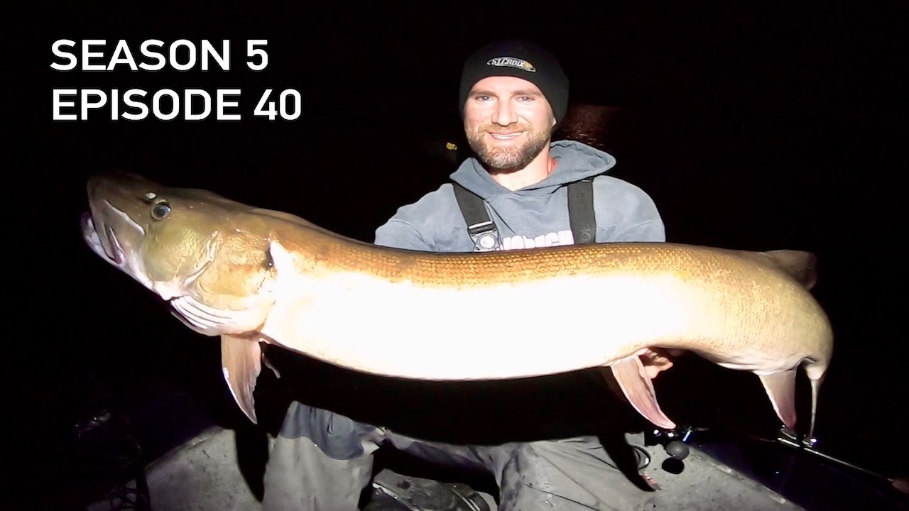 BIGGEST NIGHT MUSKY! + CRAZY 3 Muskie Night! S5.E40 - YouTube