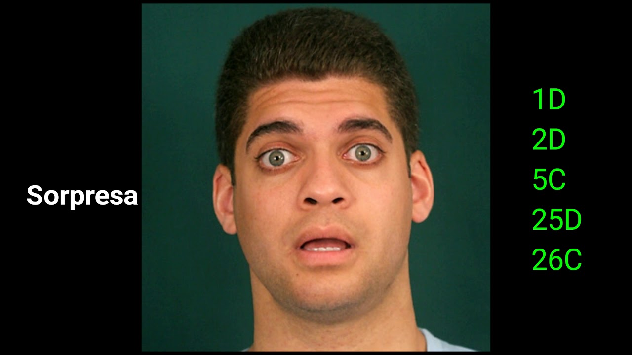 Facial Action Coding System (FACS) - YouTube