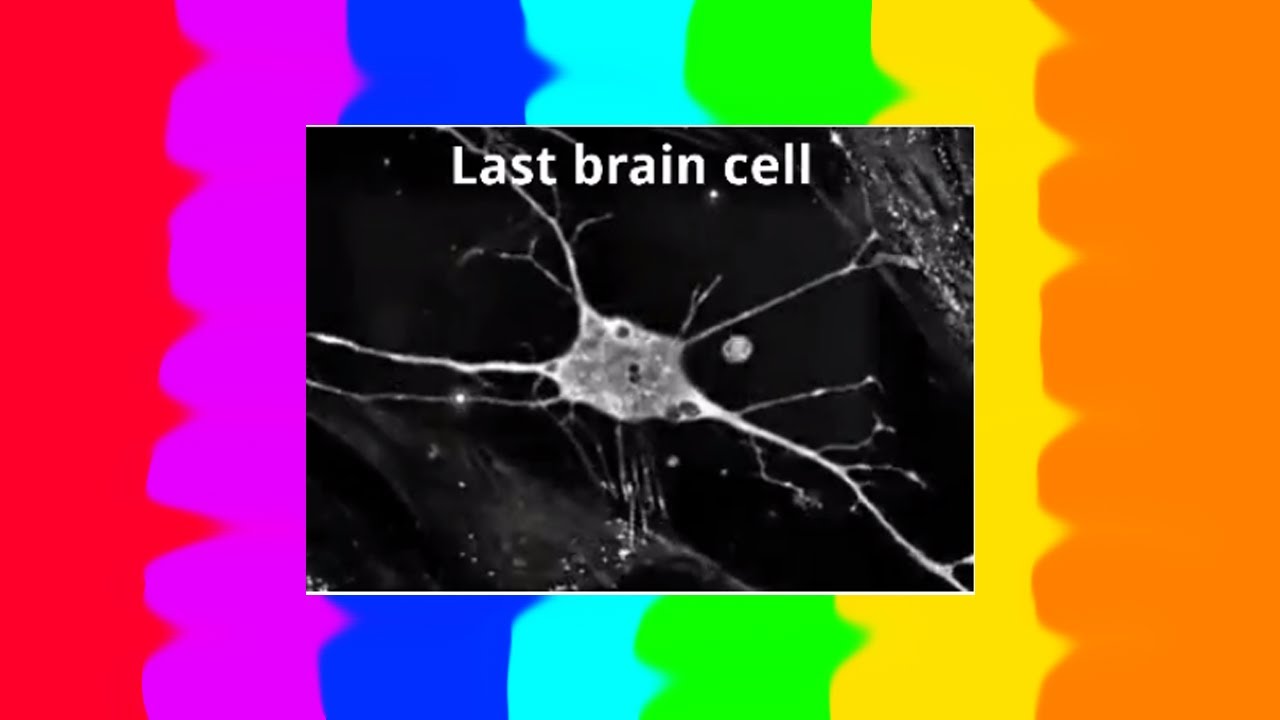 Your Last Brain Cell... - YouTube