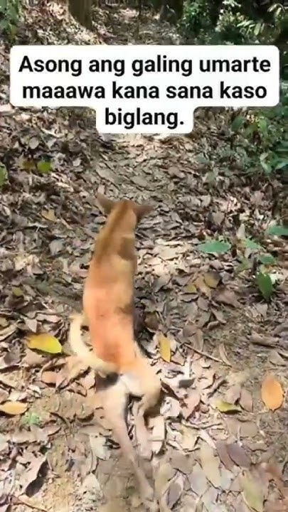 YUNG MAAAWA KA SANA KASO BIGLANG . . . . .. . . - YouTube