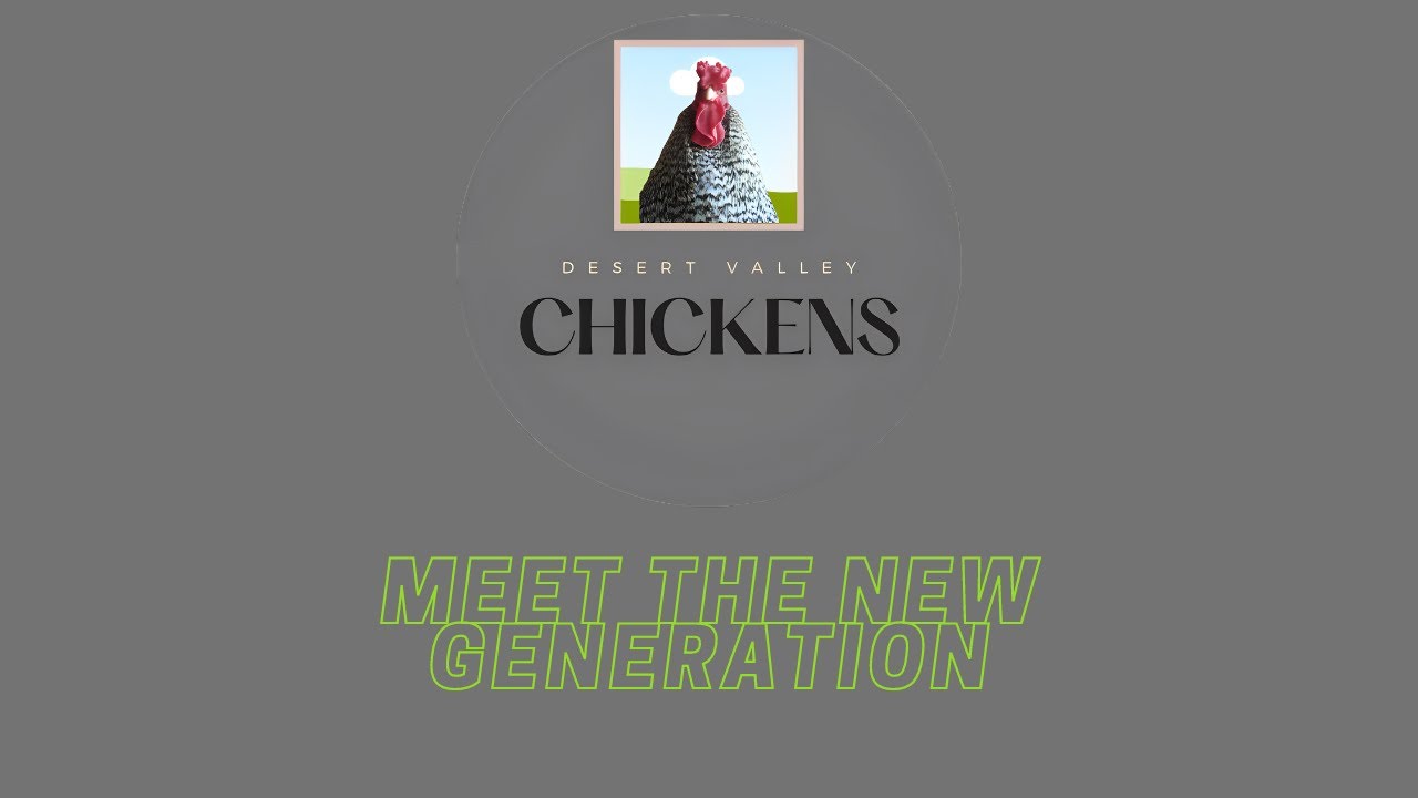 Meet the New Generation of DVC! - YouTube