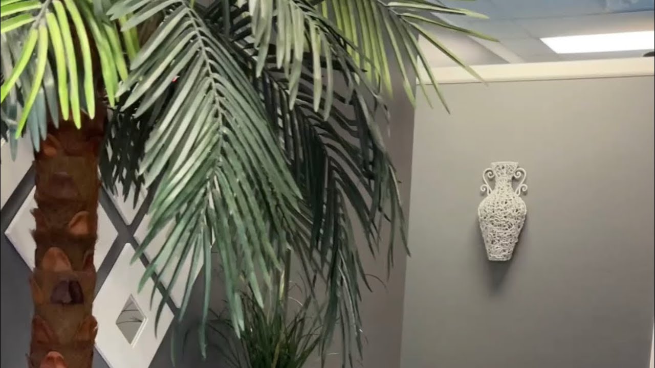 Red light bed therapy renuvaskin and spray tan by versaspa pro. - YouTube