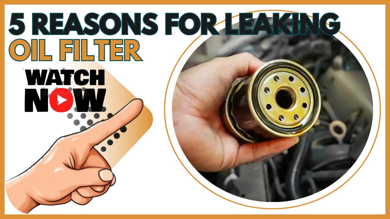 5 Reasons Why Your Car’s Oil Filter Is Leaking (And How to Fix It ...