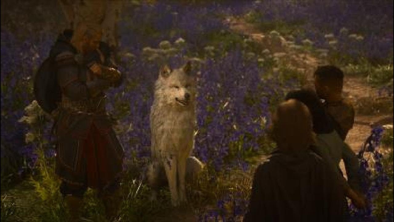 Assassin Creed Valhalla gameplay part 44 Dwolfg The friendly wolf-dog ...