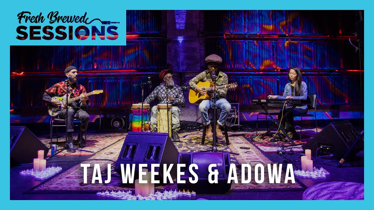 Fresh Brewed Sessions | Taj Weekes & Adowa | 41 Shots - YouTube