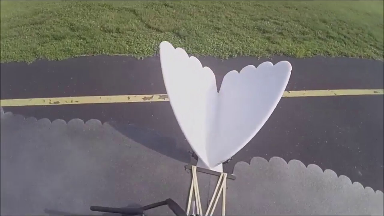 Eagle RC from Greyson Hobbies 6 9 18 - YouTube