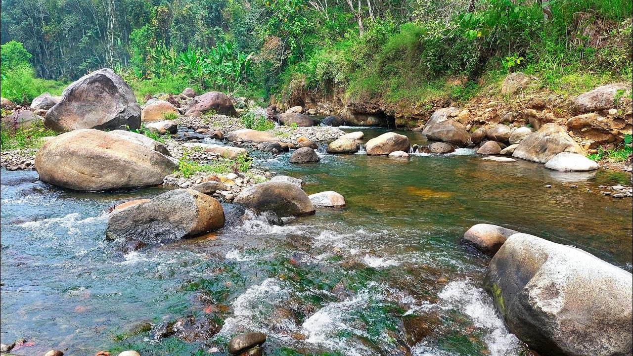 Relax Your Mind With Water Flow In A Blissful Rocky River - Calming ...