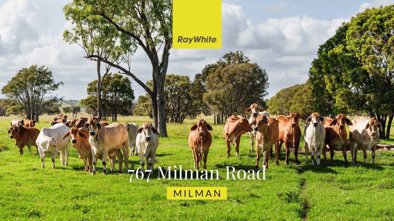 'Dairy Plain' - Premium Rural Grazing Property For Sale in Milman, QLD ...