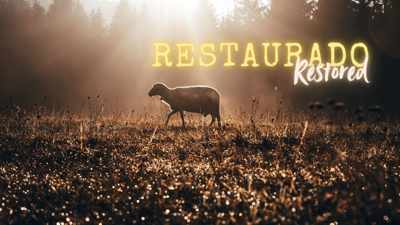 Restaurado | Restored - YouTube