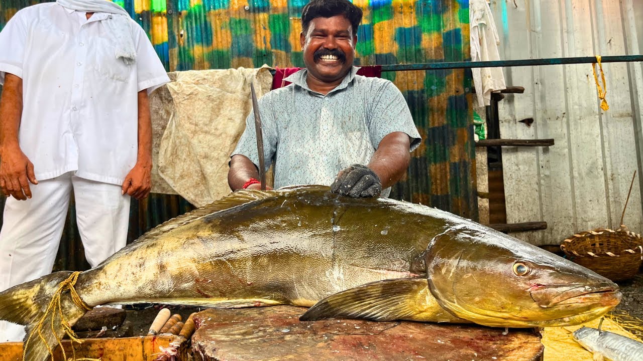 DUARIKASIMEDU CHEETAH DURAI FISH CUTTING VIDEO 👑ROYAL FISH CUTS ...