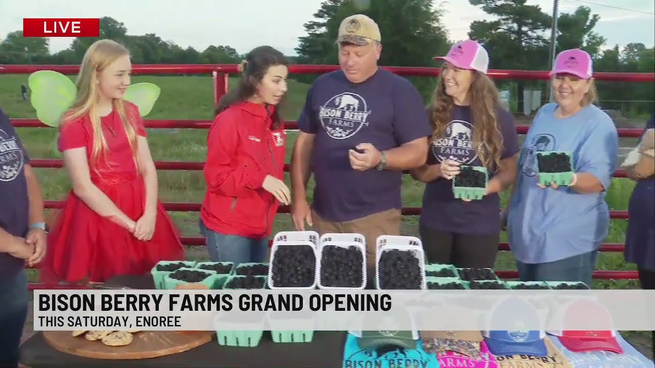 Bison Berry Farms holding grand opening for community with U-Pick ...