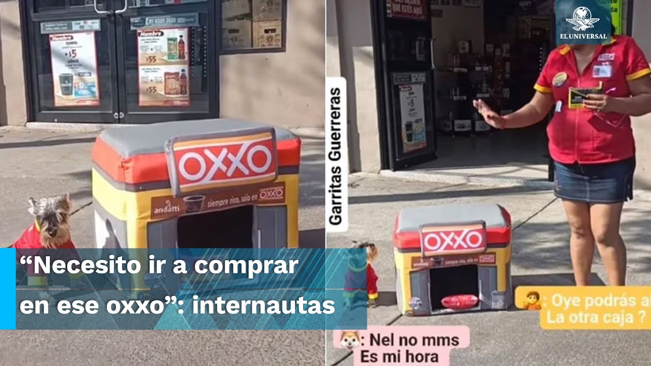 Crean mini Oxxo para perritos - YouTube