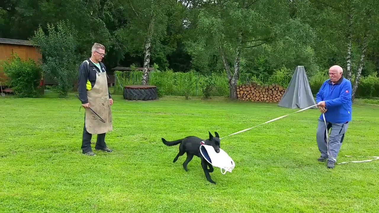 Schutzdienst Seminar mit Peter Rohde - YouTube