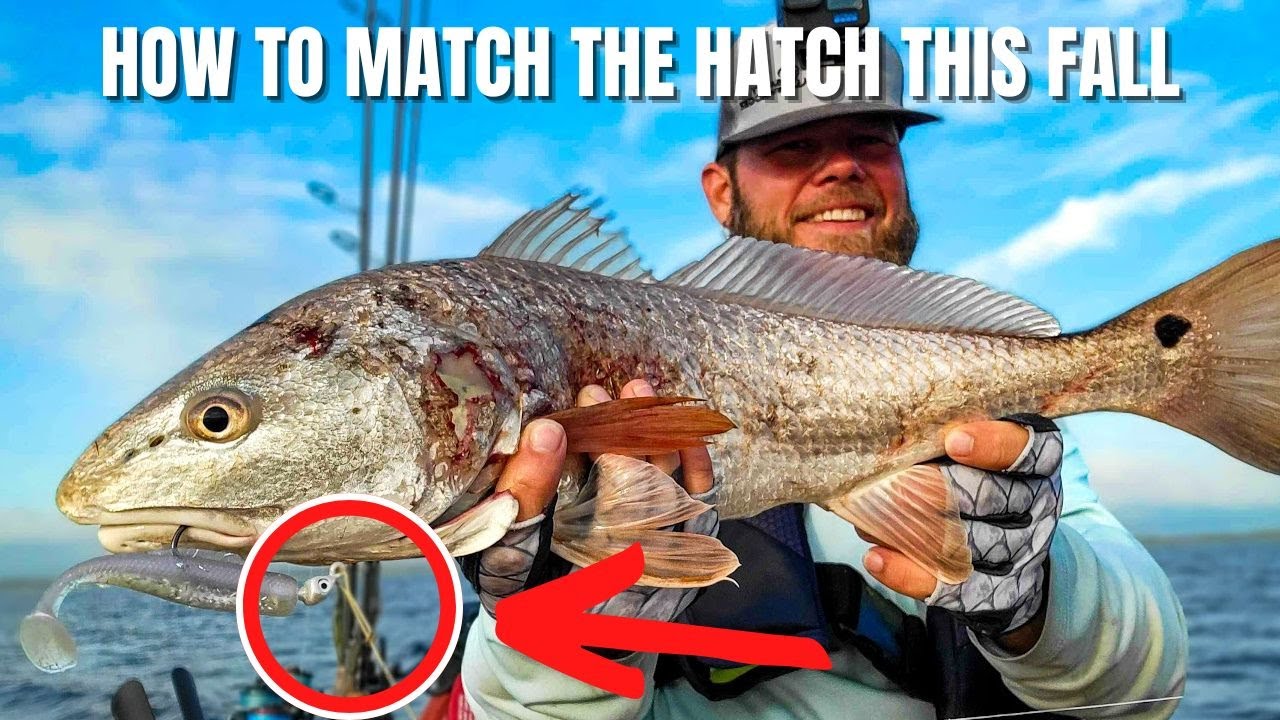 Match The Hatch With This Classic Fall Lure - YouTube