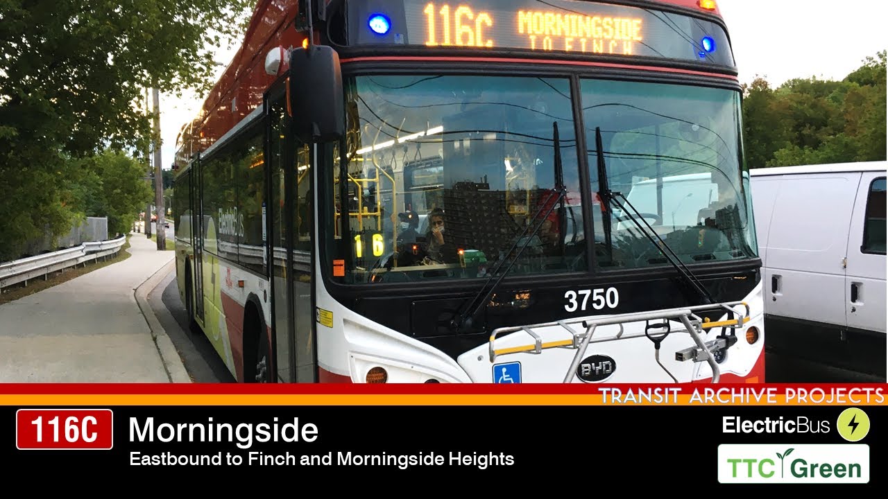 TTC 2019 BYD K9M "eBus-12" #3750 | 116C Morningside - YouTube