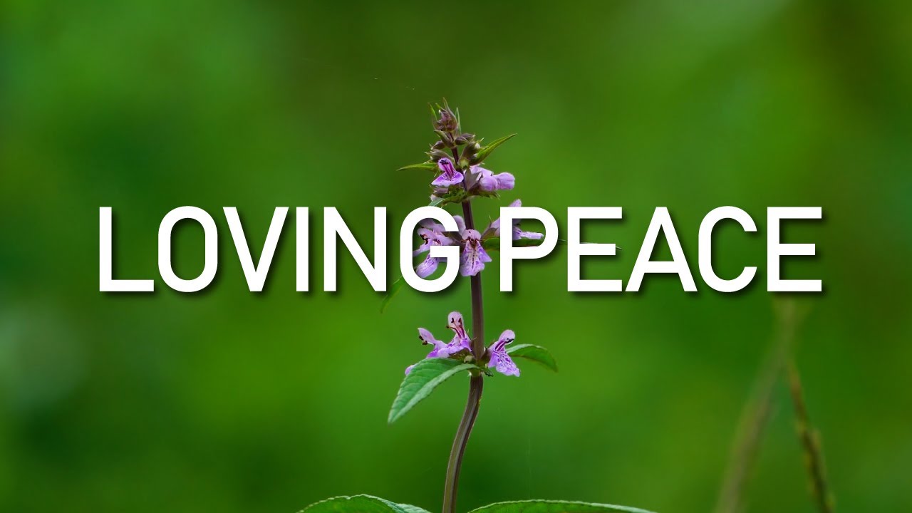 The Sound of Loving Peace | Romantic Music | Sleeping Music | Organic ...