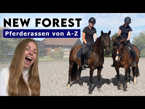 Pferderassen von A-Z | NEW FOREST PONY - Gestüt Sakolei 😍