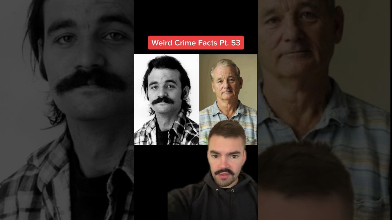 Bill Murray was once arrested for having WHAT?! #truecrime #shorts ...