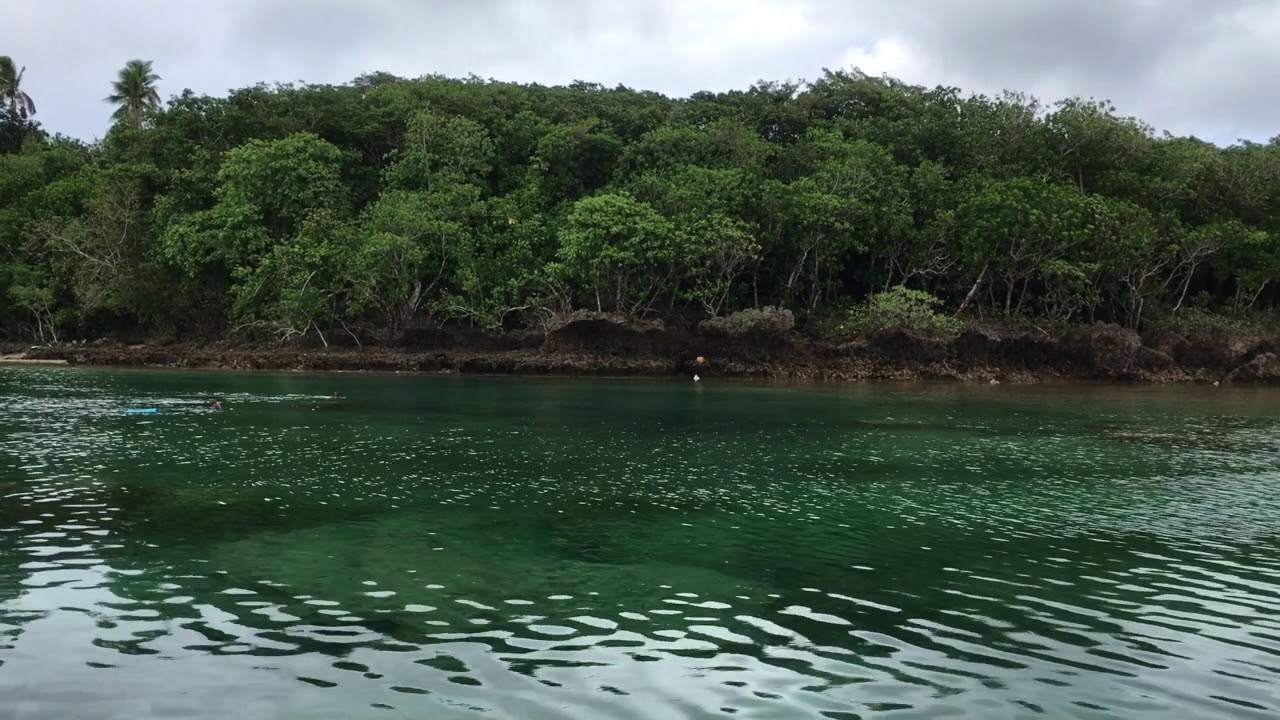 Picnic FIJI STYLE at Walu - YouTube