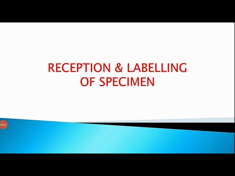 Reception and Labelling of Specimen | Histopathology, and Cytology ...