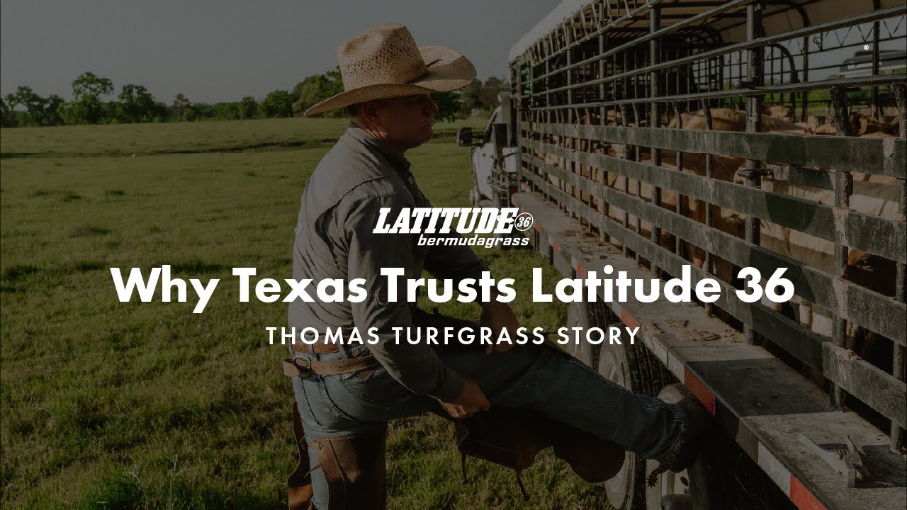 Why Texas Trusts Latitude 36 | Thomas Turfgrass Story - YouTube