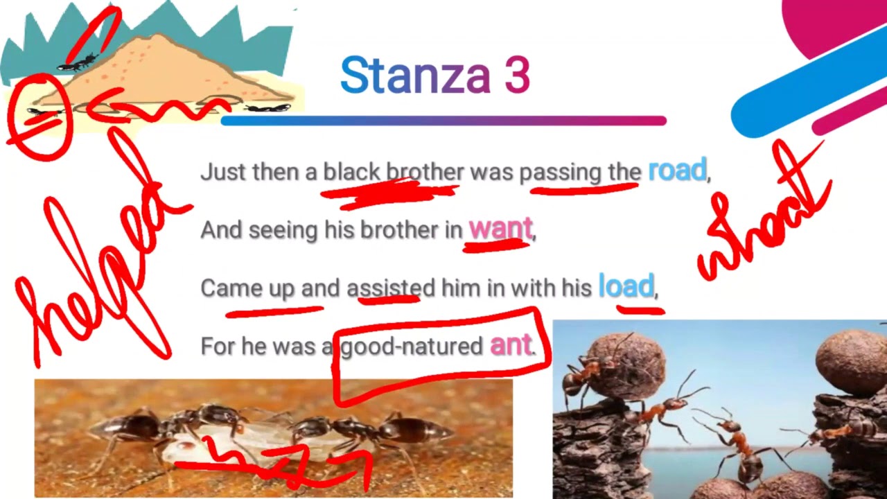 Grade 4 # English # Lesson 2 - The Ants (Poem) # 08 10 2020 # 11.00 AM ...