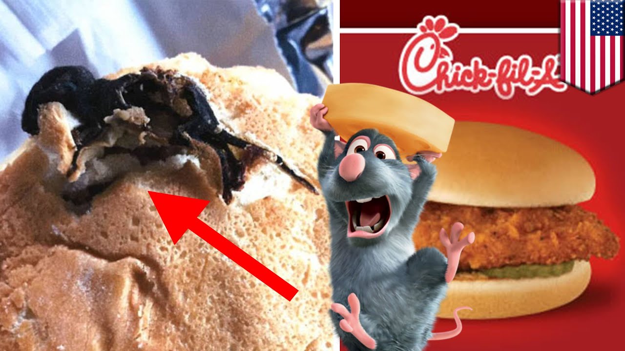 Fast food nightmares: woman finds dead rodent baked into Chick-fil-A ...