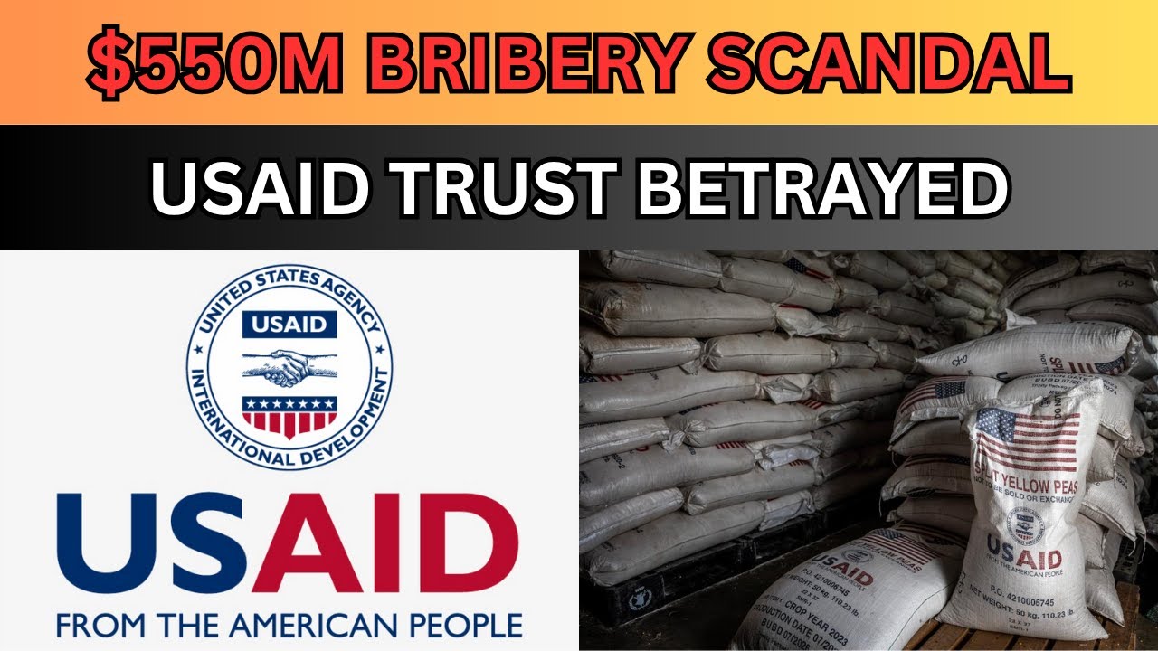 USAID official pleads guilty to taking part in $550M bribery scheme ...