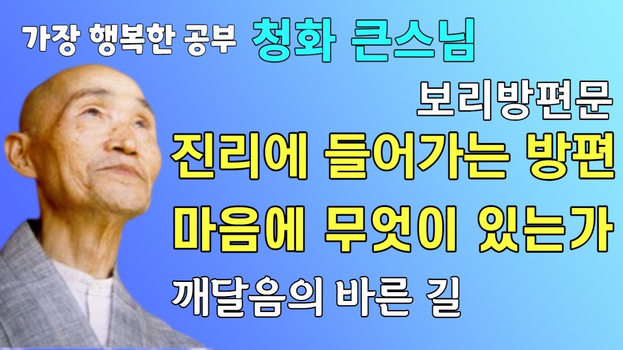 진리에 들어가는 방편 보리방편문 마음에는 무엇이 있는가 청화스님 법문 깨달음의 바른 길 Youtube