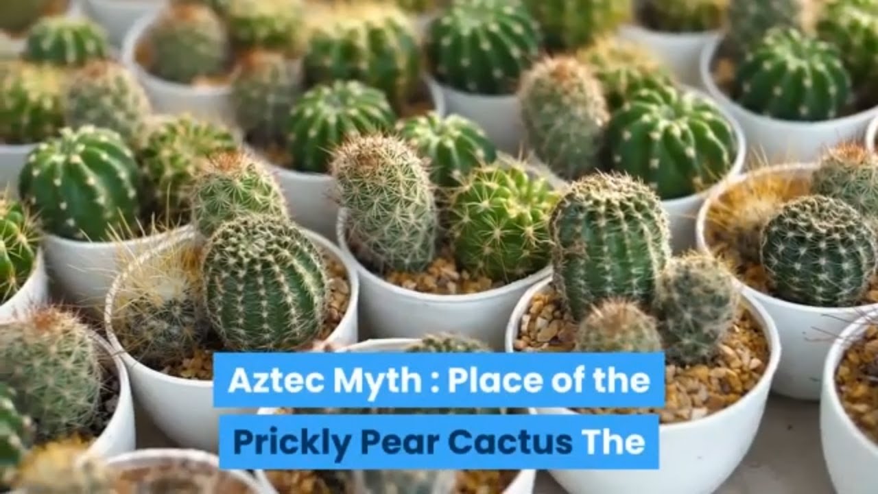 Aztec Myth : Place of the Prickly Pear Cactus | Short Moral Story ...