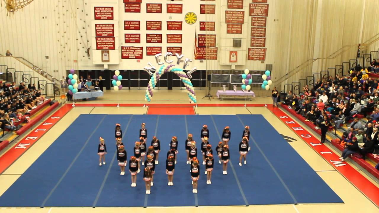 Beverly Panther Crusader Cheer Competition day 2 November 2, 2014 - YouTube